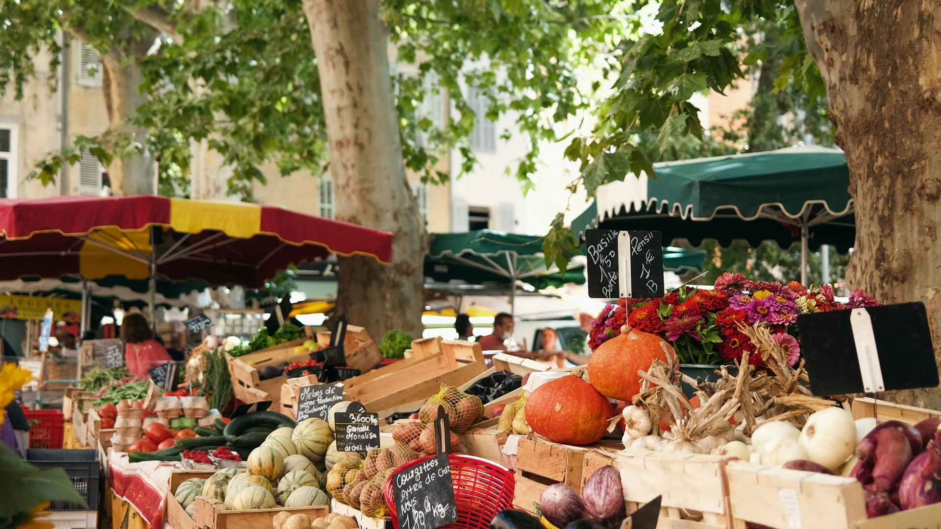 The Challenges and Solutions of Food Insecurity | GRO